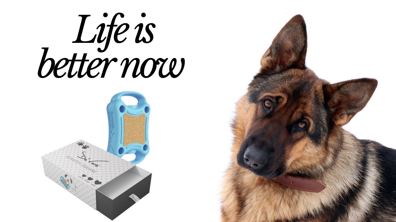 Introducing Scratch Square - YouTube