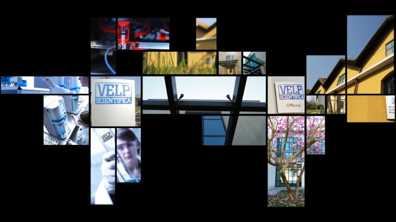 VELP Scientifica Corporate Video - YouTube