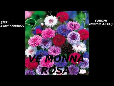 SEZAİ KARAKOÇ - VE MONNA ROSA (YORUM: MUSTAFA AKTAŞ)