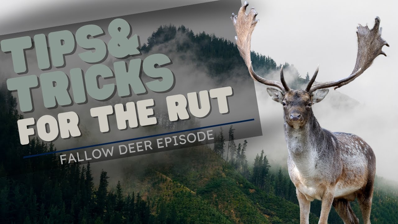 Most exciting time of the year for bow hunters! - YouTube