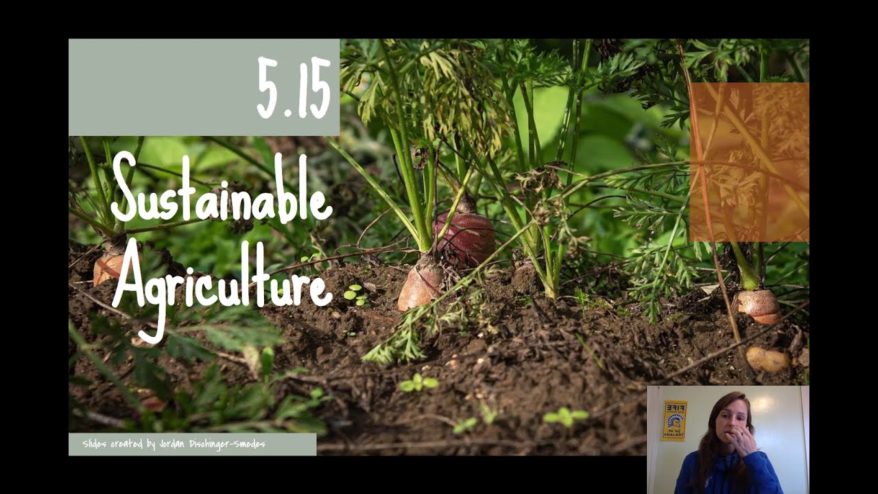 5.15 Notes - Sustainable Agriculture - YouTube
