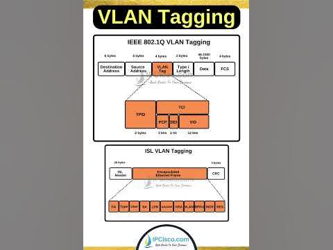 VLAN Tagging! | CCNA 200-301 Shorts | IPCisco.com - YouTube