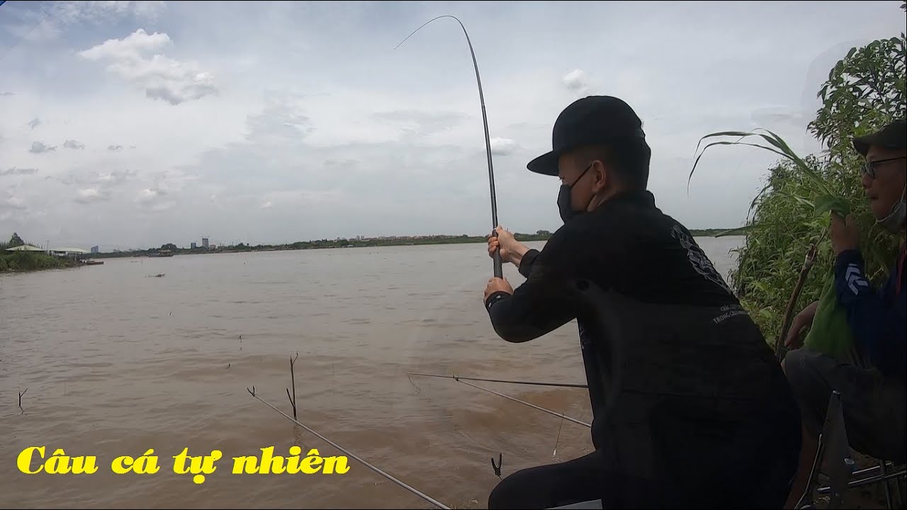 Chia sẻ điểm câu cá tự nhiên ở Hà Nội – Câu cá mạo hiểm - YouTube