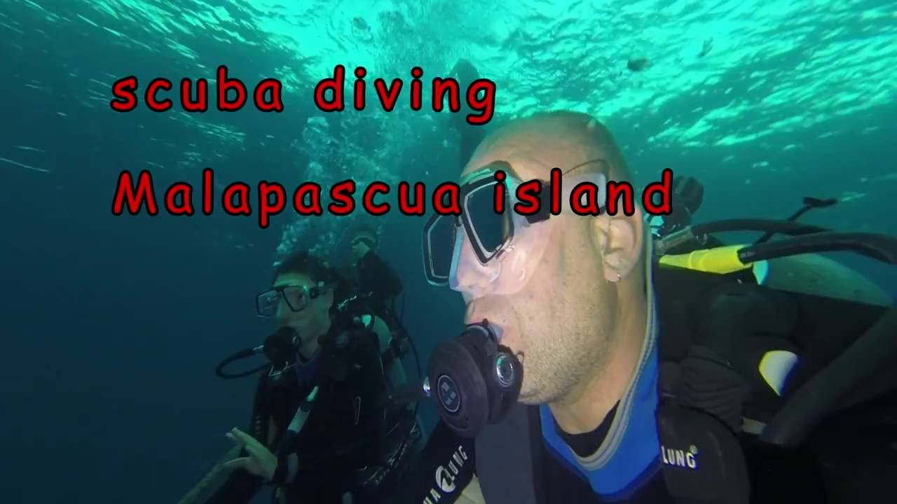 Scuba Diving Malapascua -THRESHER SHARKS ON A NEAR DAILY BASIS - YouTube