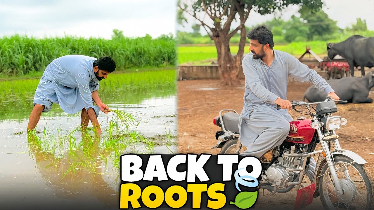Gao ki haseen subha😍| Rice farming | Short vlog | bilal Marth - YouTube