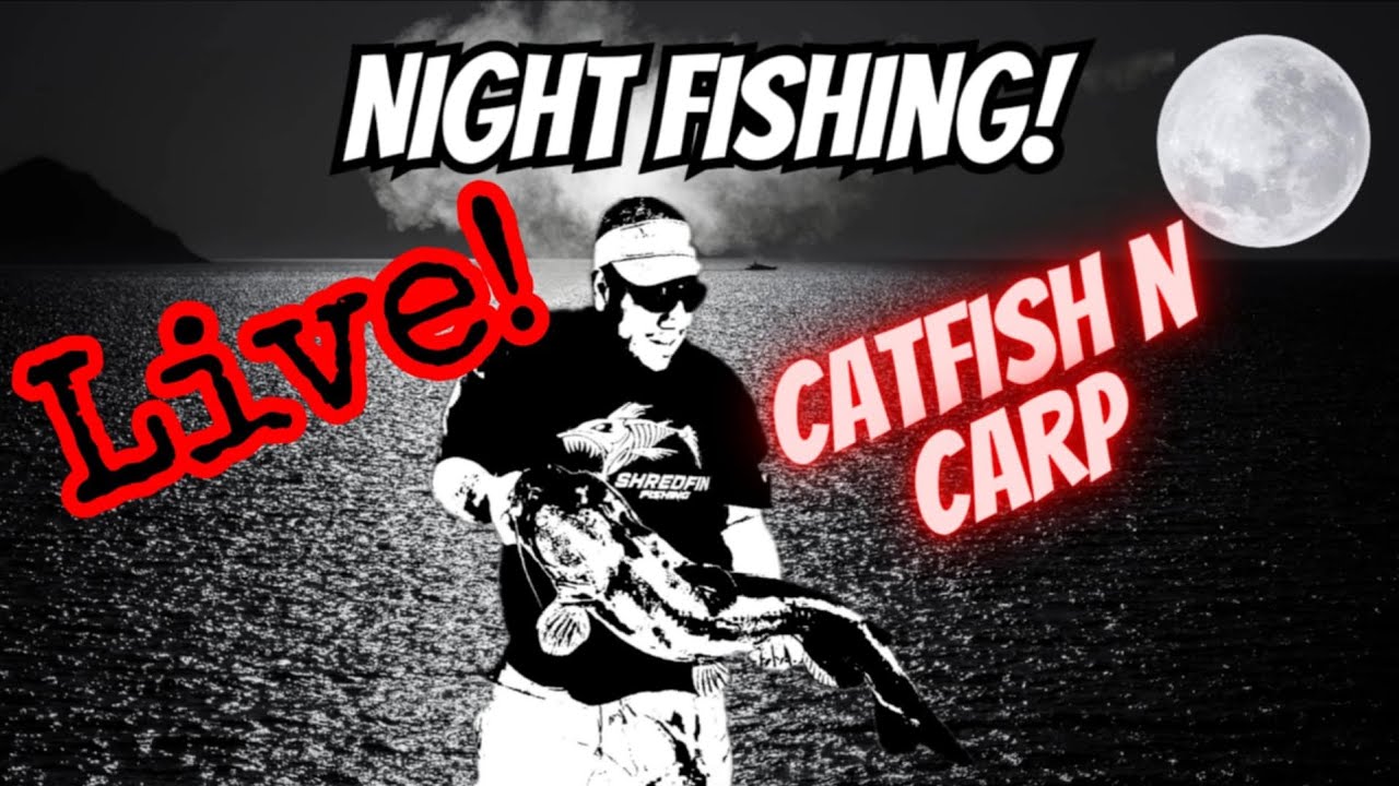🔴Live! Late Night Catfishing! 🎣 - YouTube