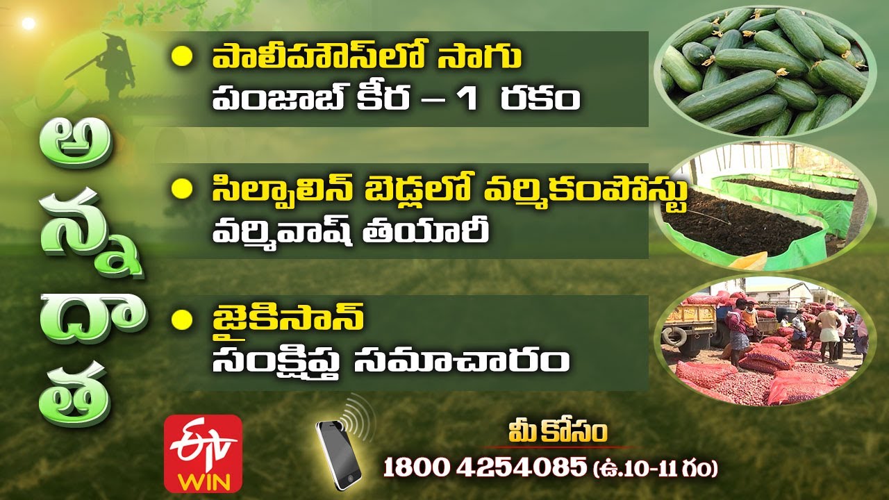 17th March '21 | Annadata | అన్నదాత | Full Episode - YouTube