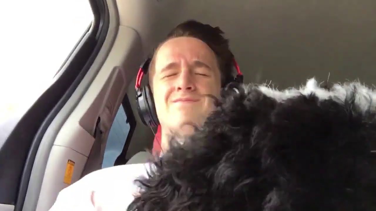 my face getting blown by the wind for a minute and three seconds - YouTube