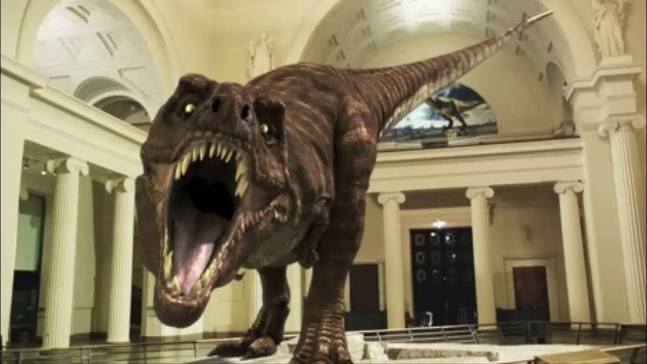 Waking the T. rex: the Story of Sue theme - YouTube