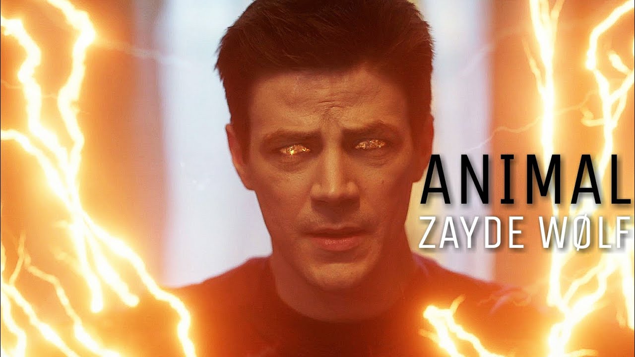 The Flash • ANIMAL - YouTube