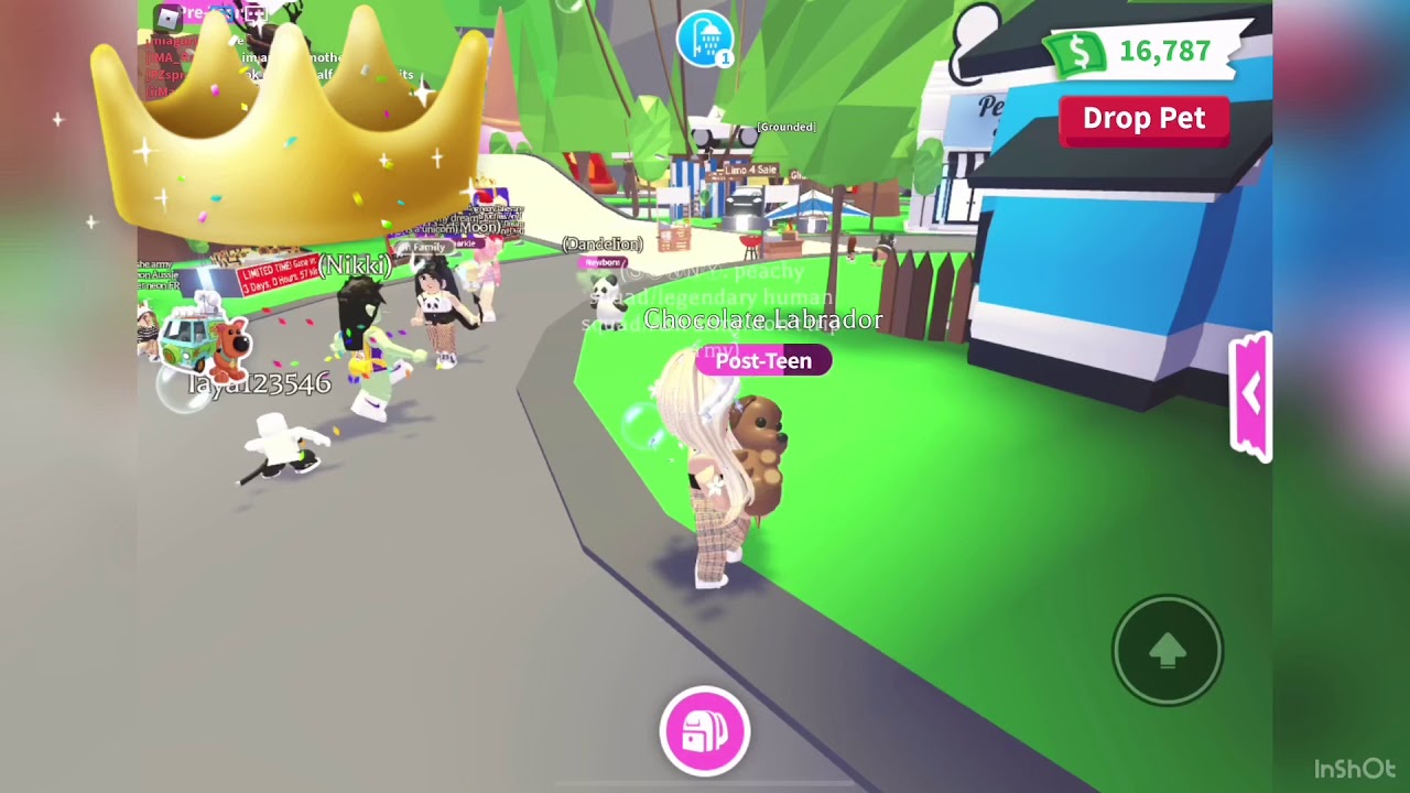 Making a neon chocolate Labrador! - YouTube