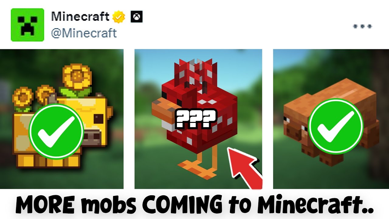 Mojang CONFIRM NEW minecraft Chickens.. and oh wait Sheep too | NEW ...