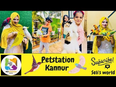 PET STATION TRIP|KANNUR PET STATION|BEAUTIFUL PET STATION|SELI’S WORLD ...