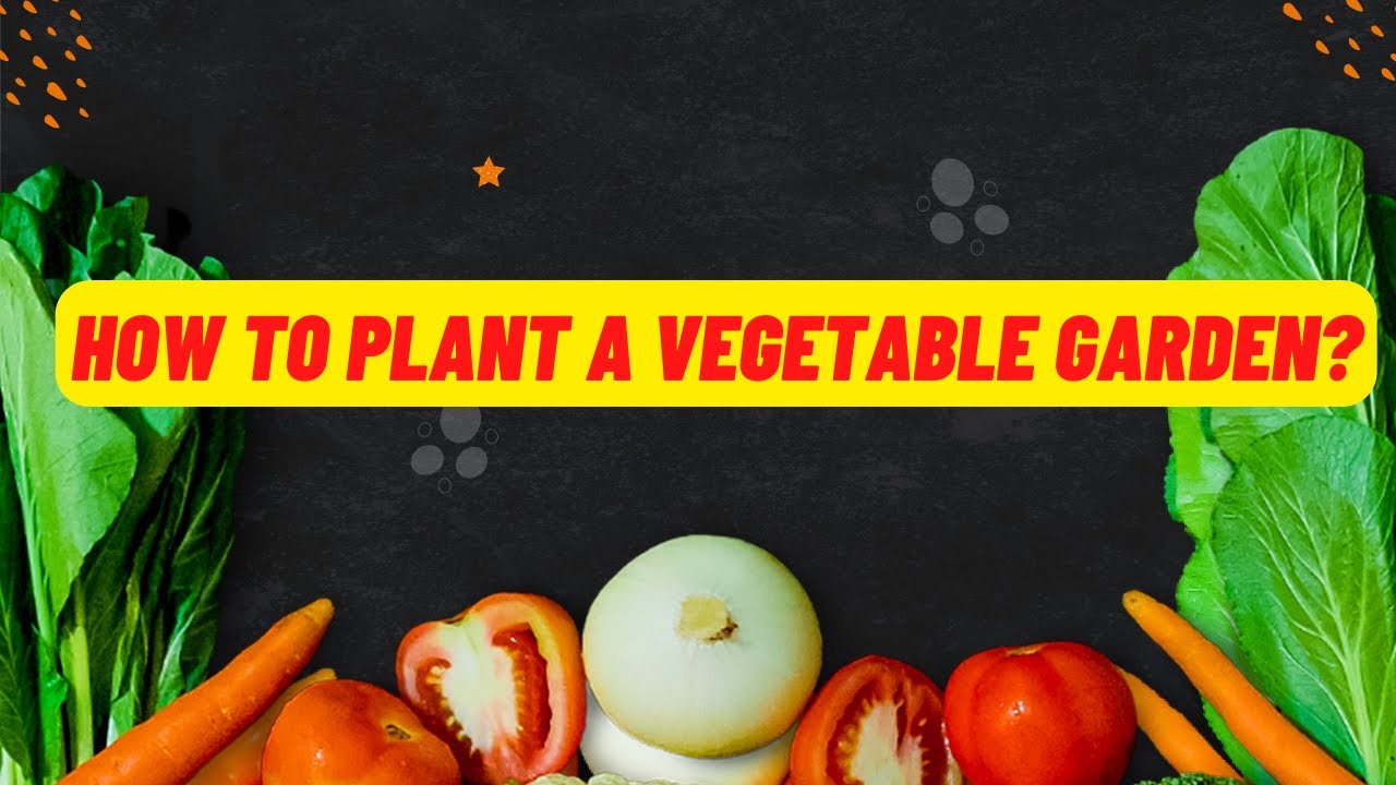 How to Plant a Vegetable Garden | Planting Vegetables - how to plant a ...