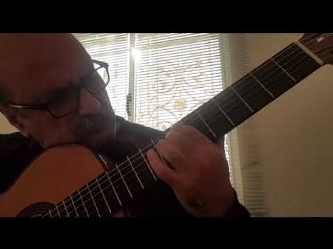 Musette J.S.Bach played by Farzad Daneshmand