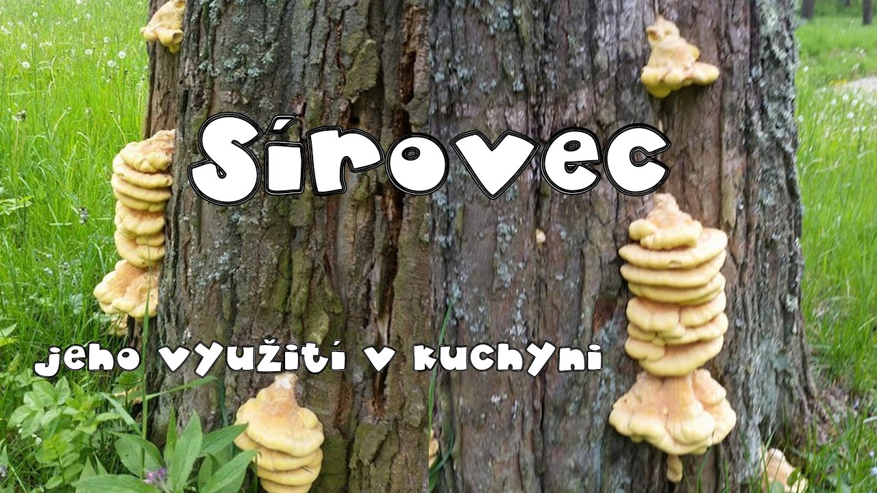 Sírovec - YouTube