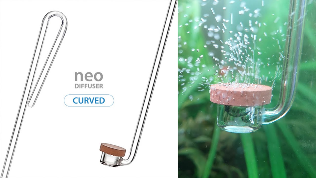 Aquario Neo Diffuser Special Curve หัวปล่อย CO2 ฟองละเอียดยิบๆ - YouTube