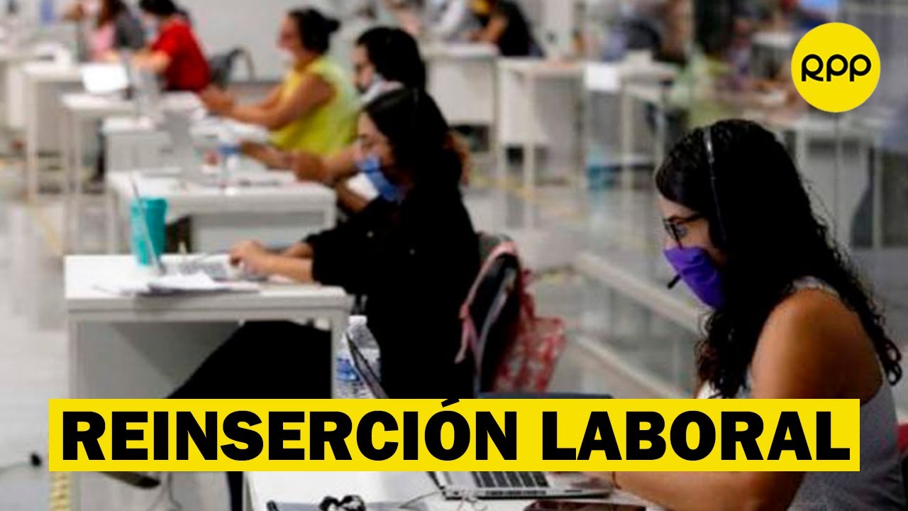 REINSERCIÓN LABORAL: ¿Qué debes tomar en cuenta y cómo prepararte ...