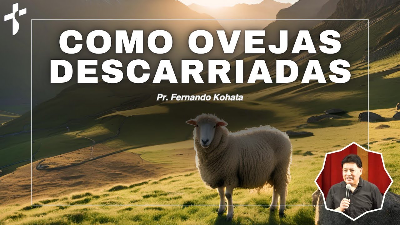 Como ovejas descarriadas - YouTube