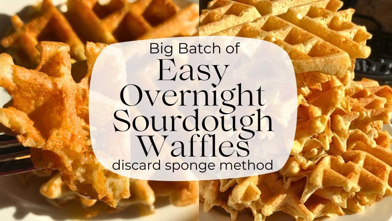 How to make Easy Overnight Sourdough Waffles with a discard sponge (Big ...