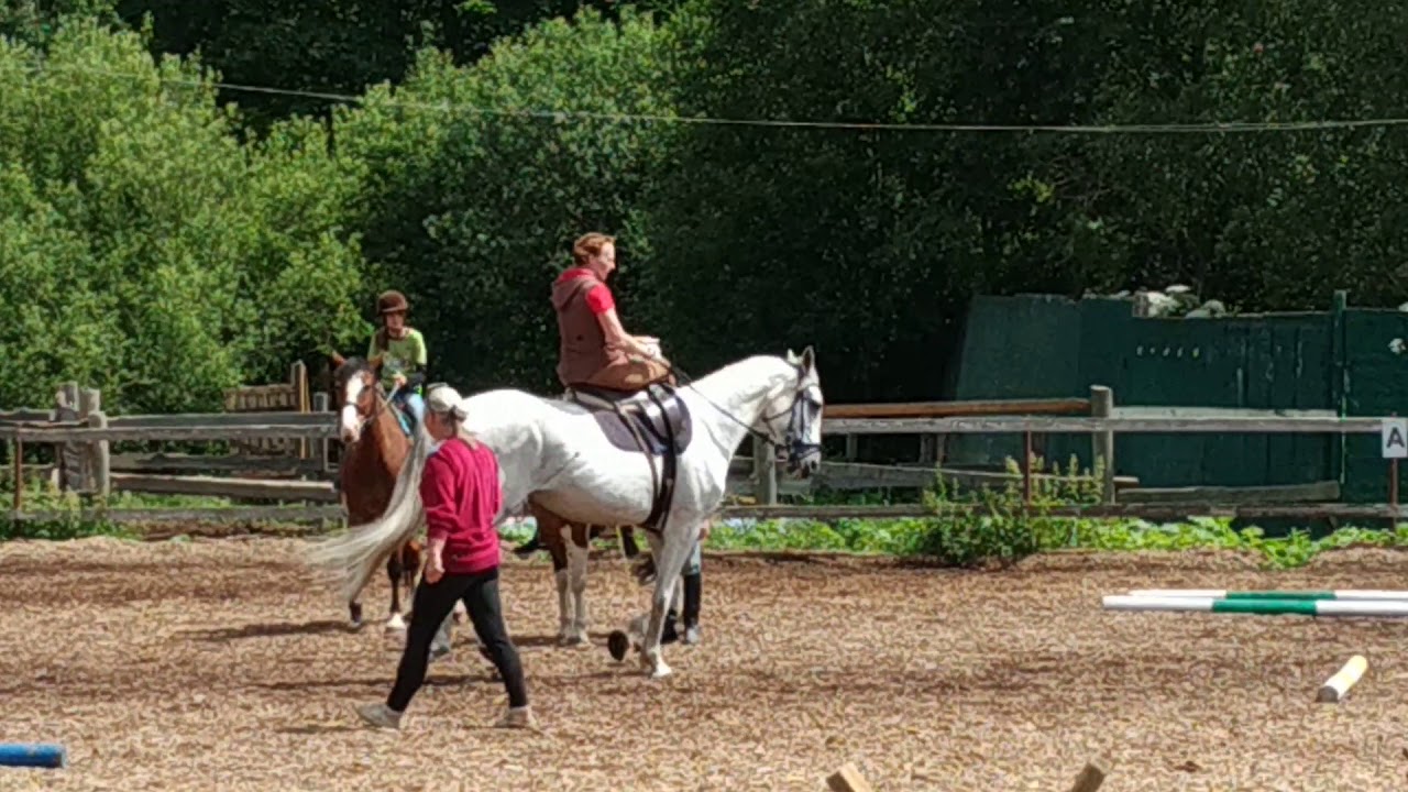 side saddle_gallop_30/06/2019 - YouTube