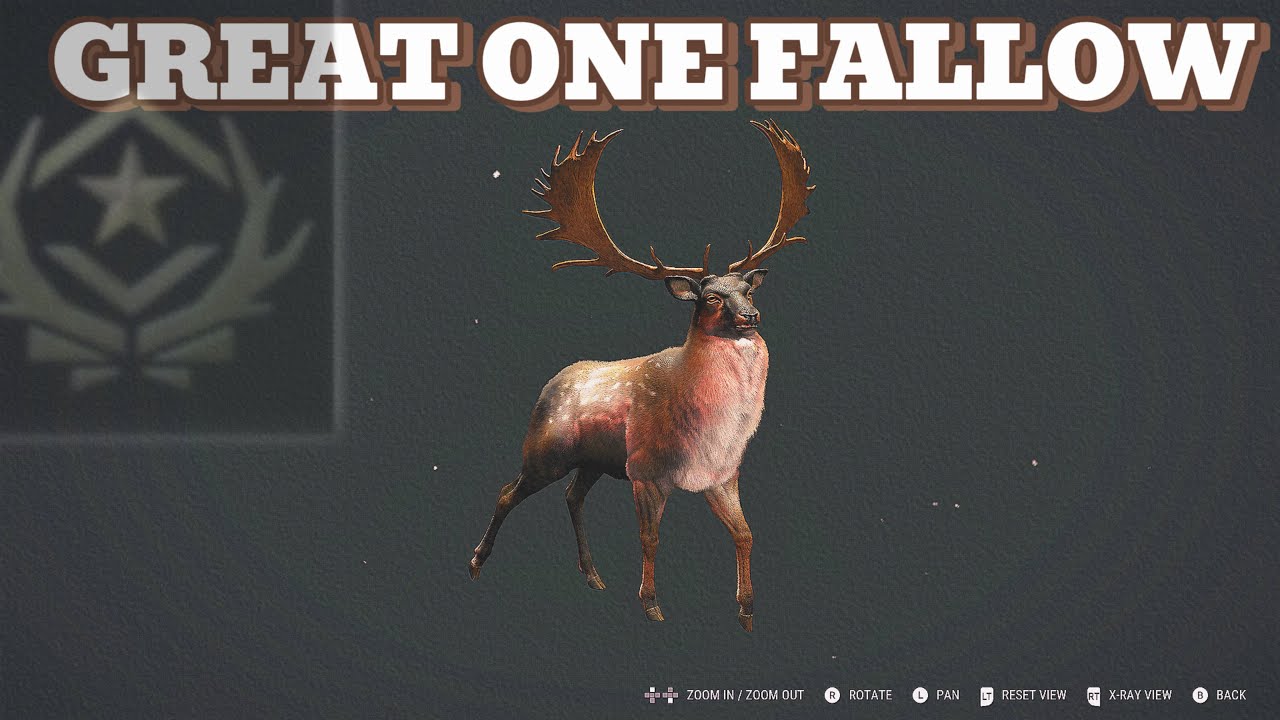 GREAT ONE FALLOW - YouTube