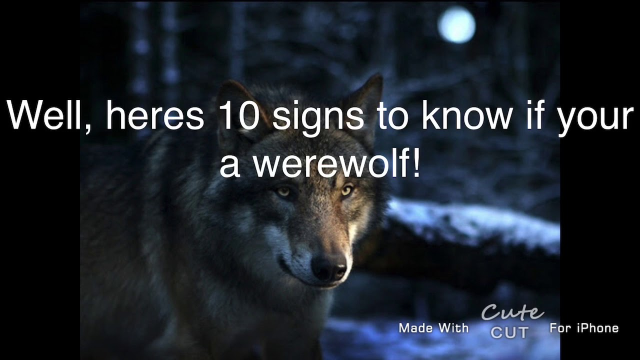 10 signs of being a werewolf - YouTube