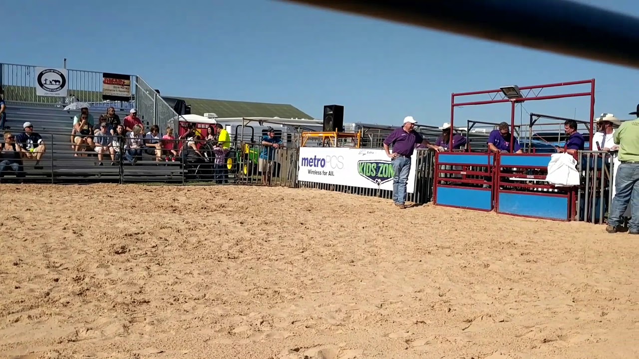 Ford Mutton! - YouTube