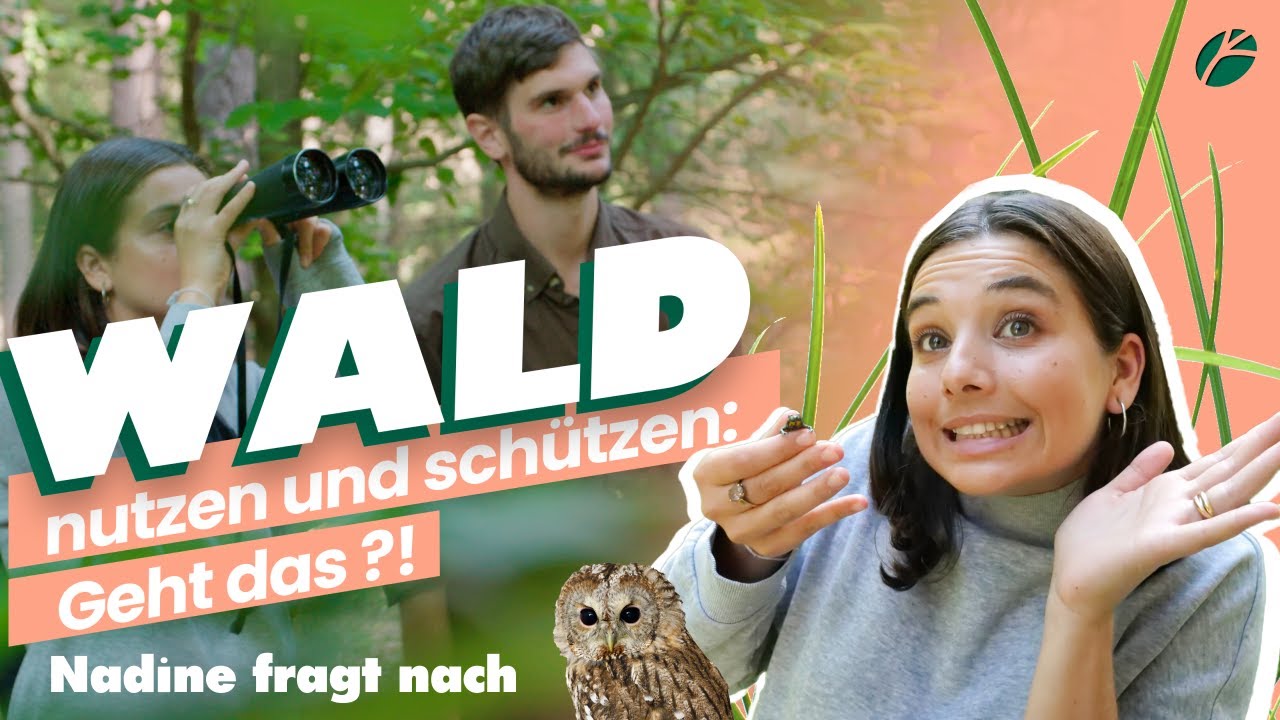 Wald nutzen und schützen: Geht das?! Nadine Hadad fragt nach I BaySF ...