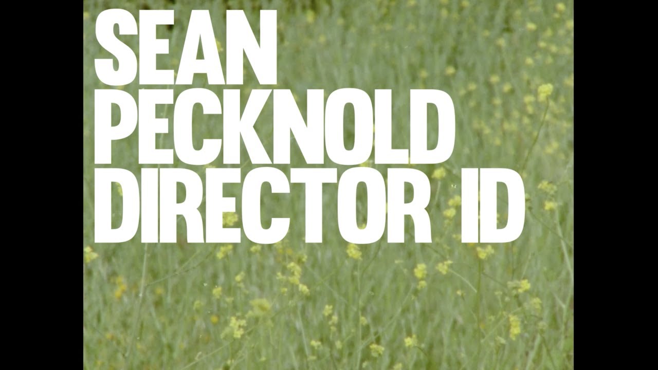 Director ID — Sean Pecknold - YouTube