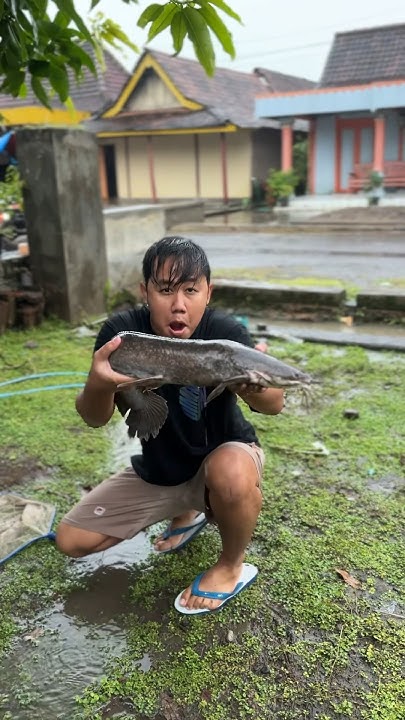Nyeser Di Selokan Dapat Ikan Lele Ukuran Monster Nyeser Lele