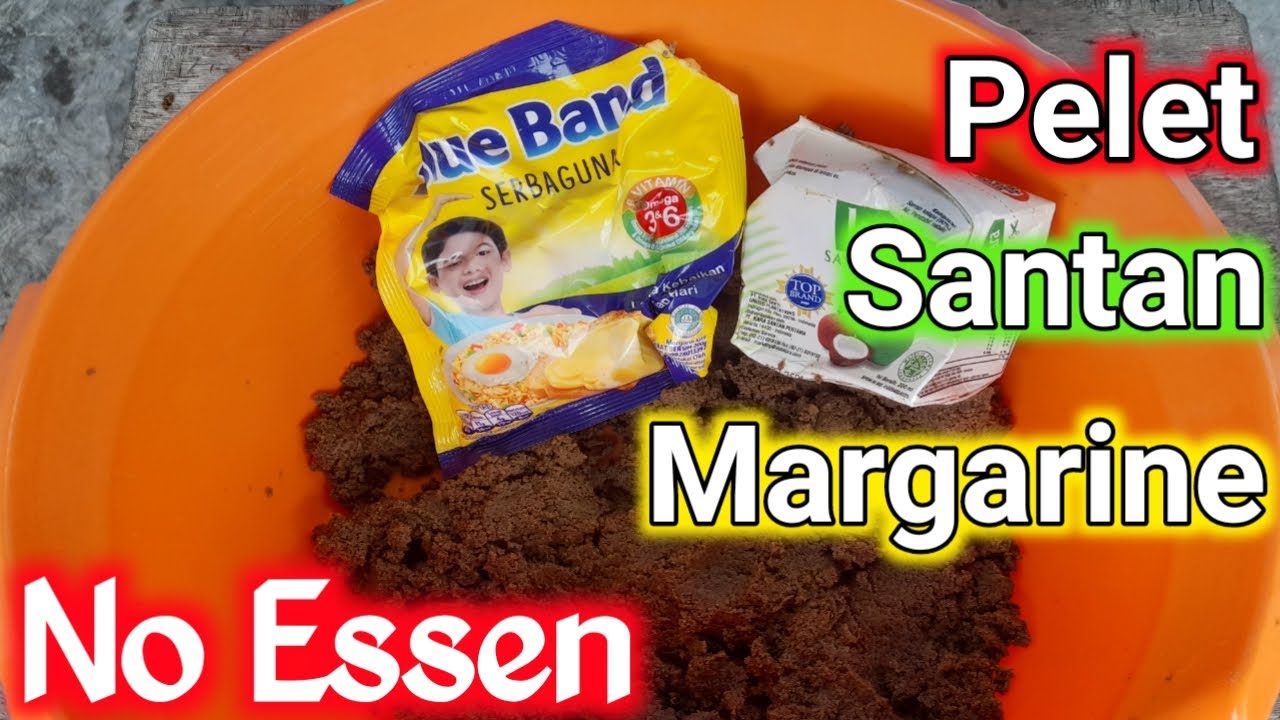Umpan Pelet Patin Sederhana Tanpa ESSEN - YouTube
