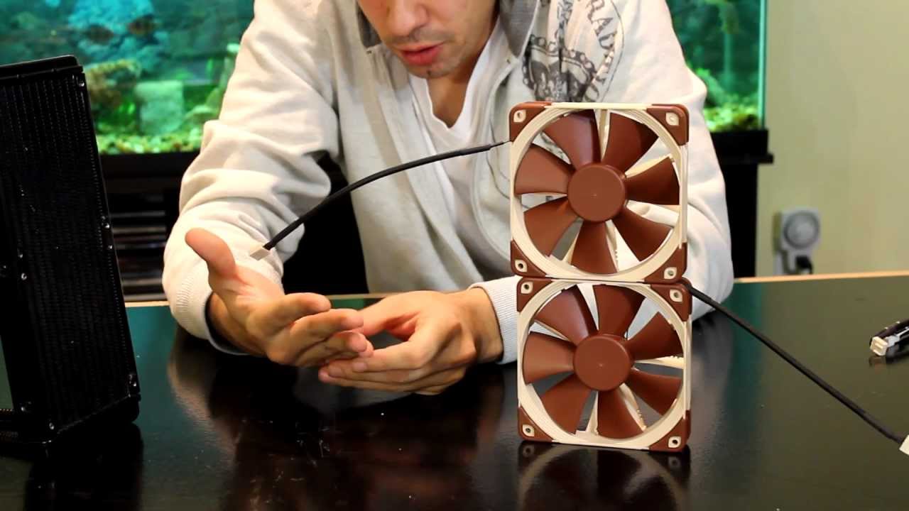 Noctua NF-F12 PWM 120MM Case Fan Unboxing/First Look - TheTechSource.Tv ...