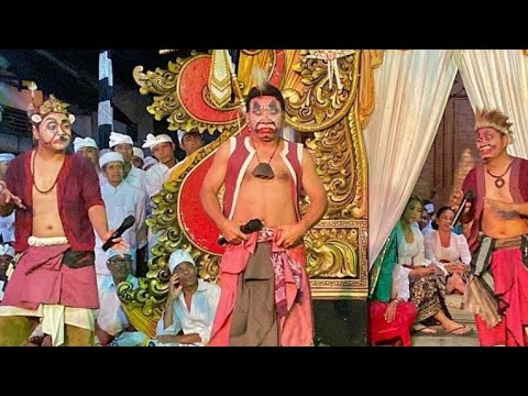 Lolak sebet galau Lolak kalian KURENAN😂!! Lawak bali lolak oven sengeng ...