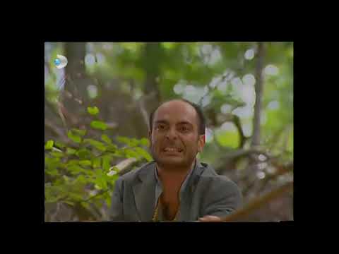 kınalı kar 1 kamber zehranın adını ağaca yazmış