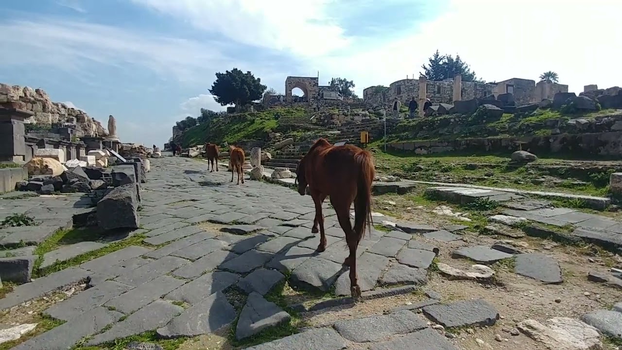 JORDANIAN CITY - Ancient Pella ruins - YouTube