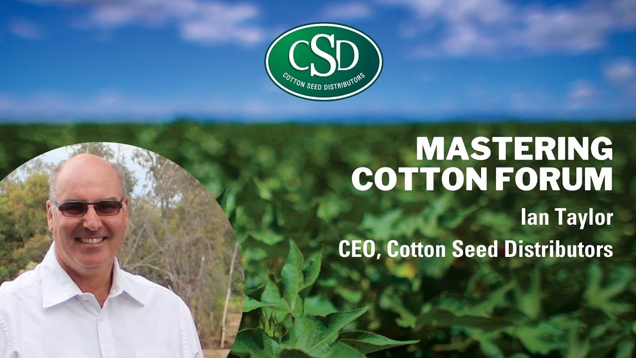 Ian Taylor - Mastering Cotton Forum 2024 - YouTube
