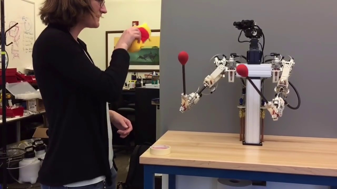 videos de risa, jugar con un robot - YouTube