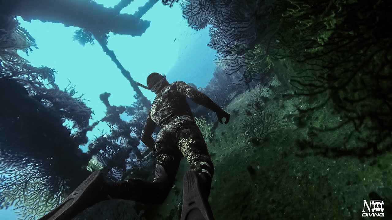 voyage sur le grec - YouTube