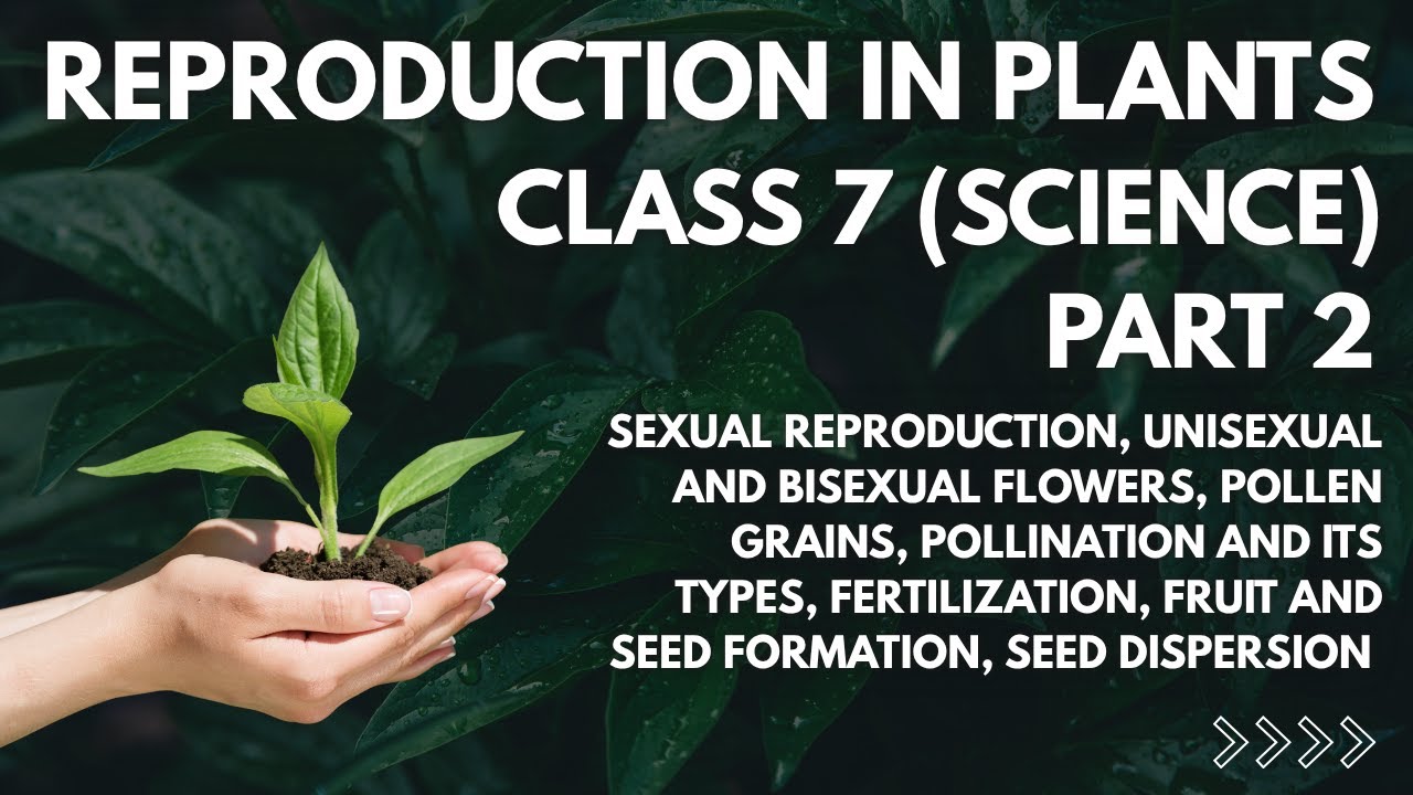 Class 7 Science | Reproduction in Plants Part 2 | Modes, Pollination ...