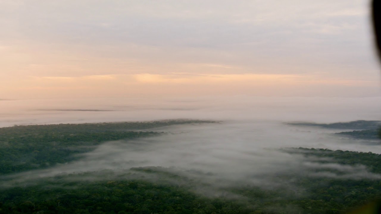 Amazon Rainforest Flying River - YouTube