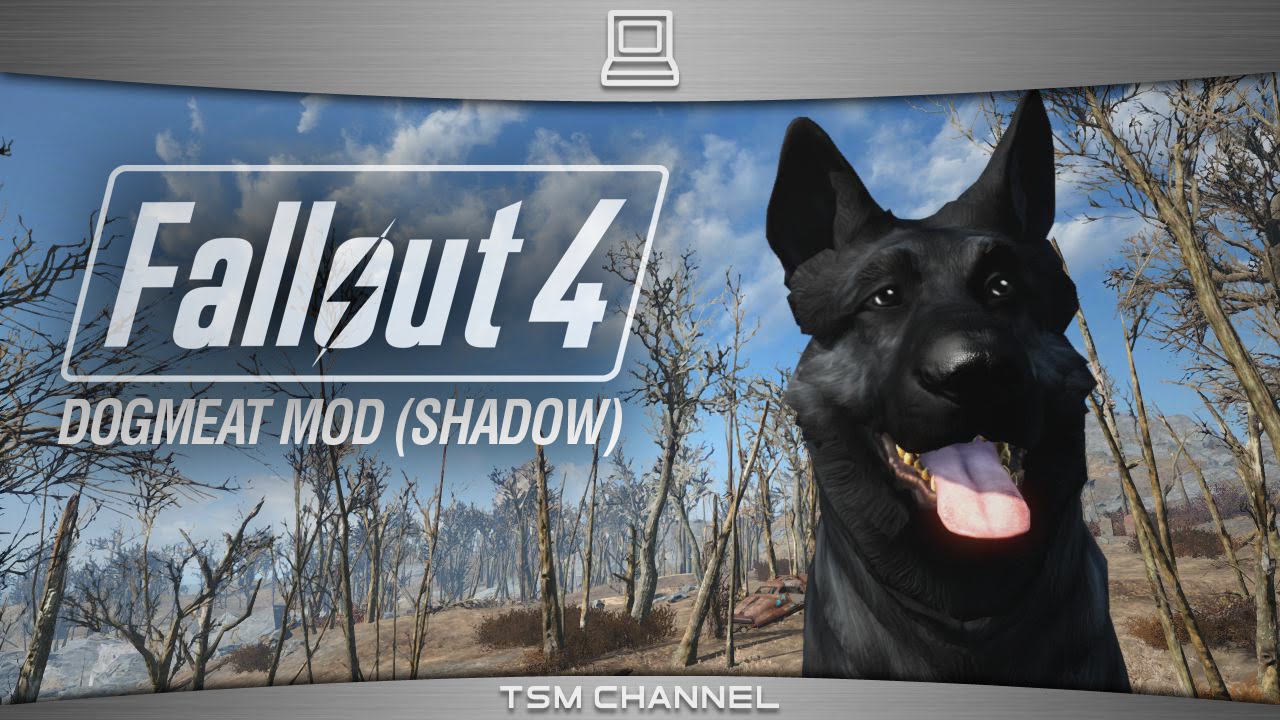 Fallout 4 Dogmeat Mod (Shadow) - YouTube