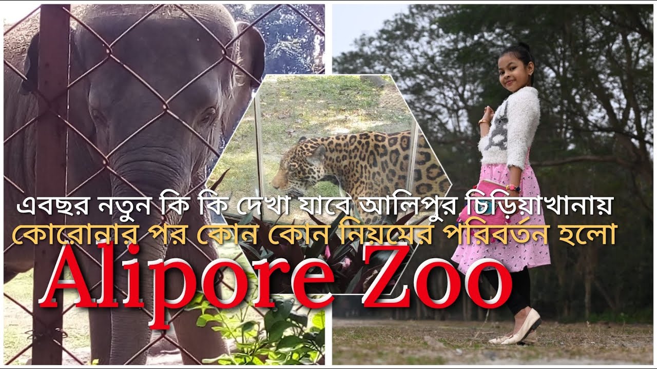 Alipore Zoo II Kolkata Alipore Zoological Garden - YouTube