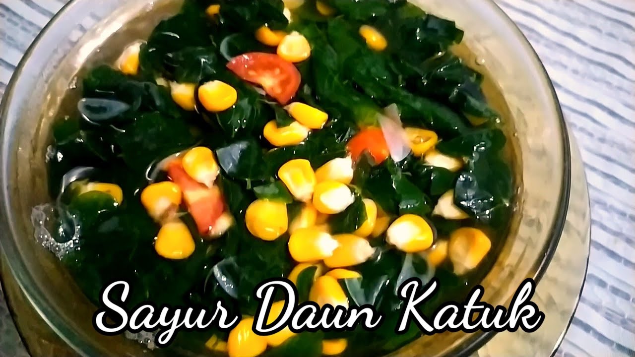 sayur bening daun katuk dan jagung enak || sayur daun katuk ...