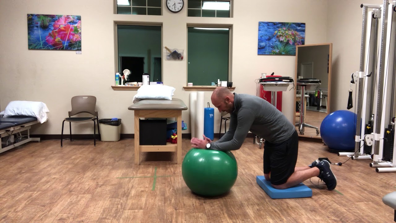Swiss Ball Rollout - YouTube