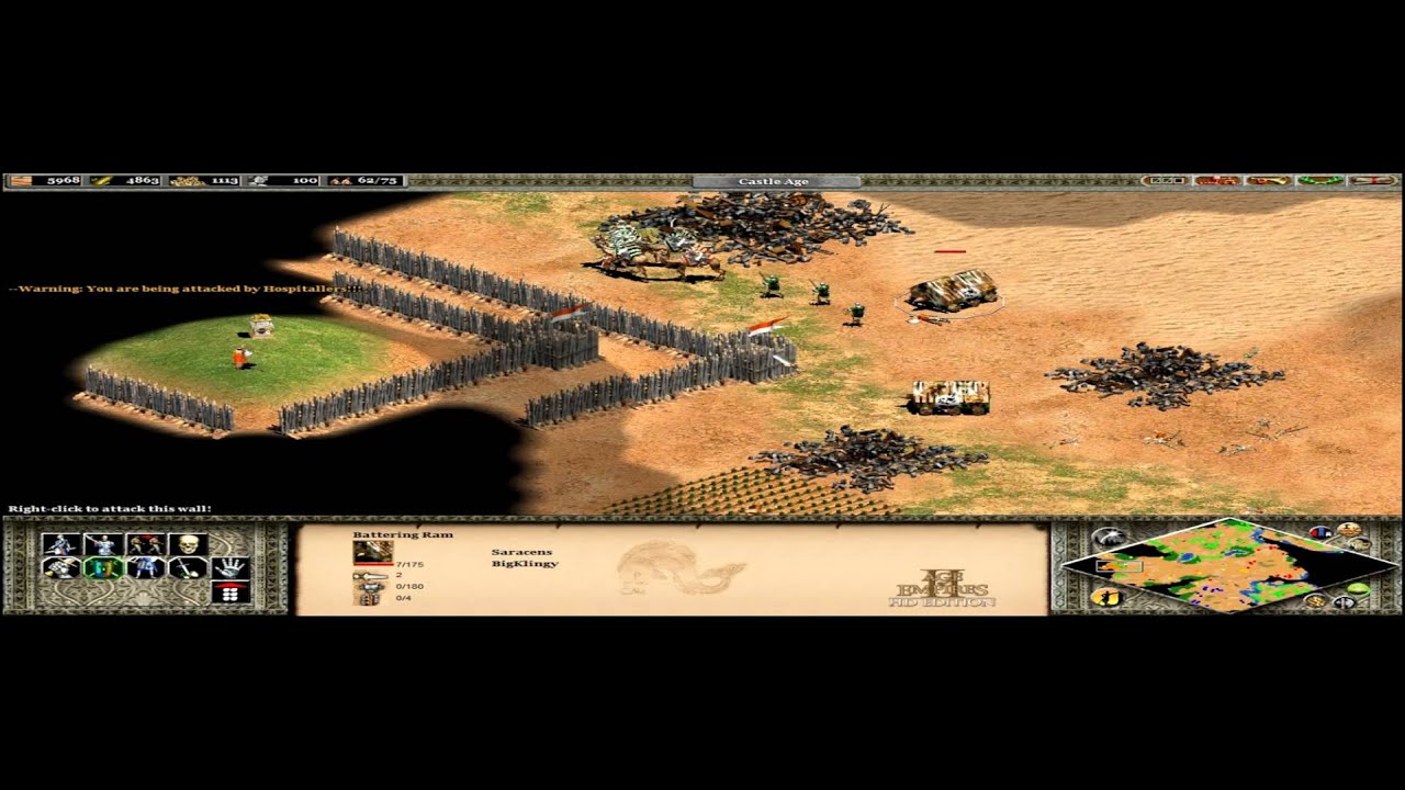 Age of Empires II Playthrough: Part 28 - Grab Relic and RUN! - YouTube