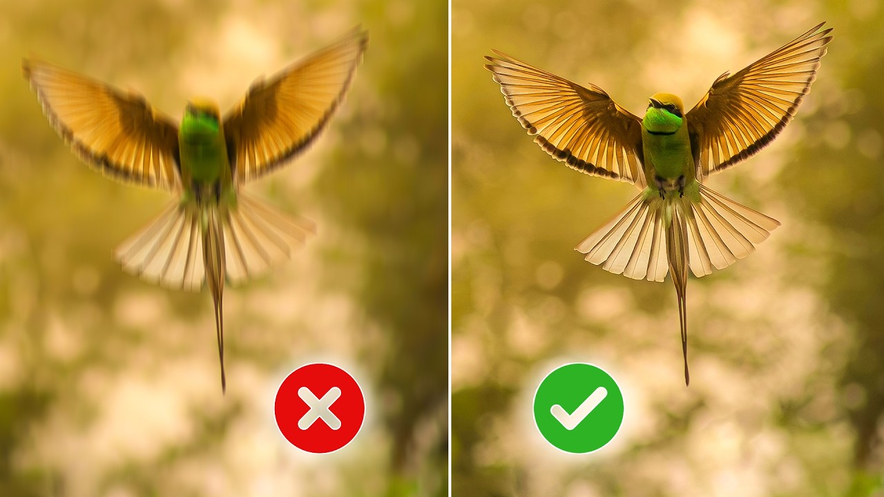 Camera Basics: Shutter Speed Explained | What is Shutter Speed in ...