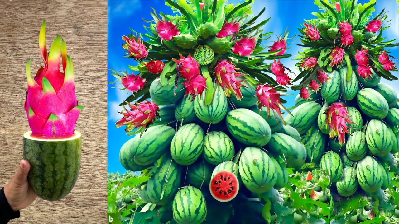 Unique Technique : for getting Dragon in Watermelon fruits with egg and ...