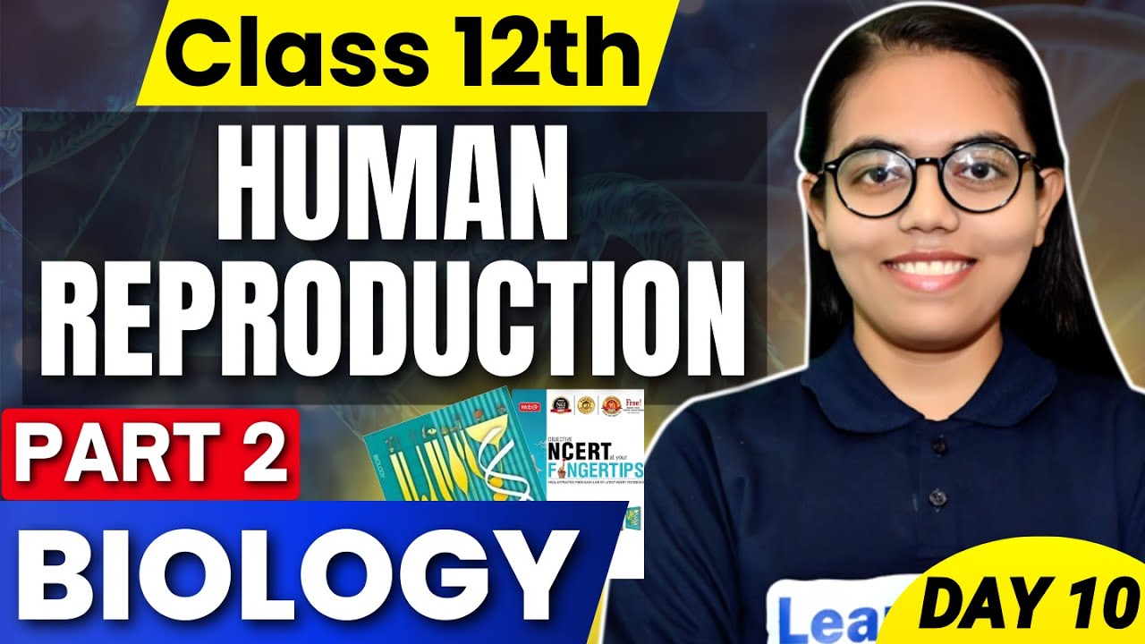 Class 12 Biology | Part 2 - Human Reproduction - YouTube