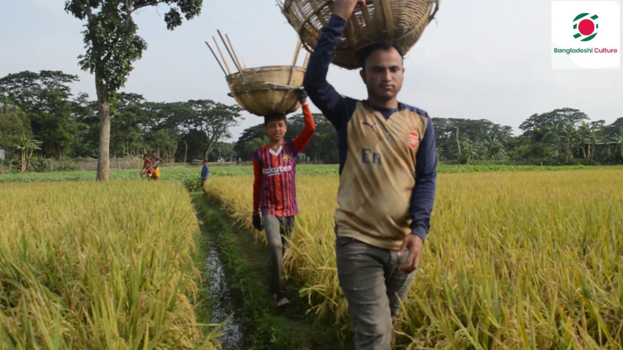 Farmer's Functions Bangladesh/The culture of the farmers of Bangladesh ...